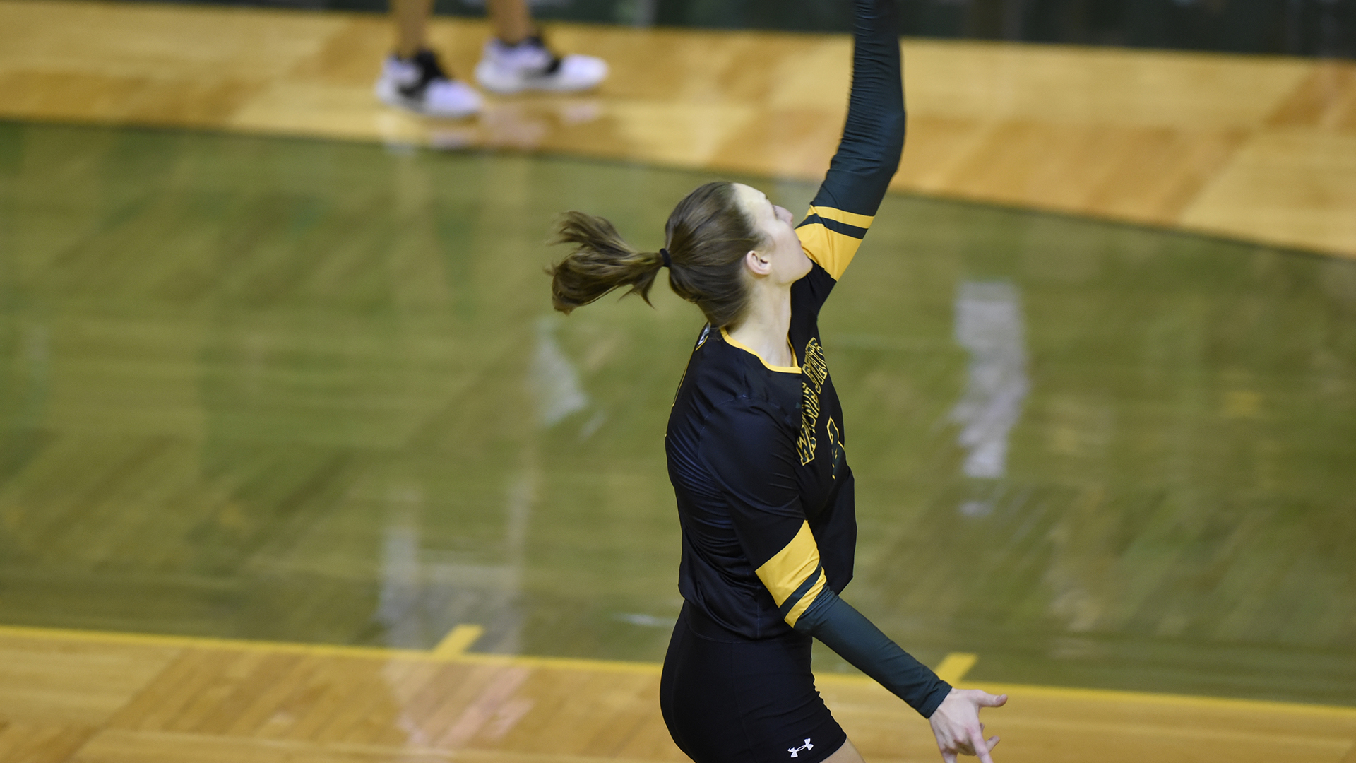 Sam Palazzolo - Volleyball - Wayne State University Athletics