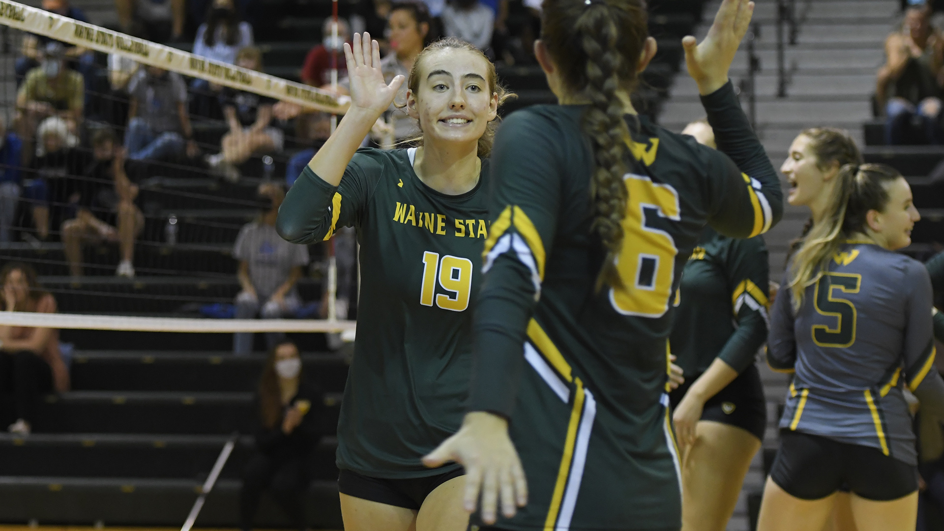 Maddie Morrison - Volleyball - Wayne State University Athletics