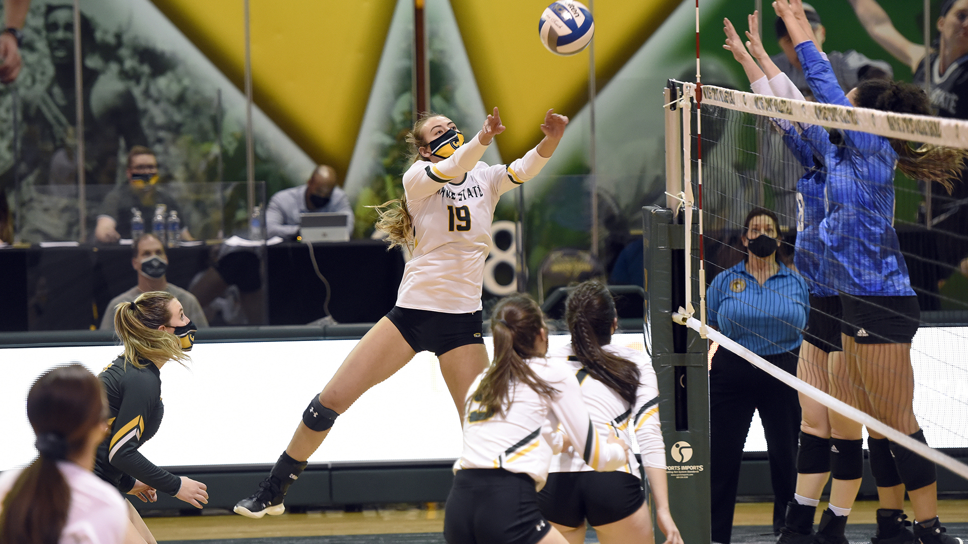 Maddie Morrison - Volleyball - Wayne State University Athletics