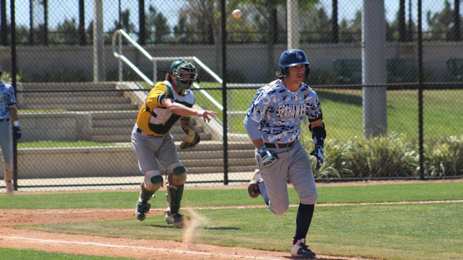 Kyle Ray - Baseball - Wayne State University Athletics