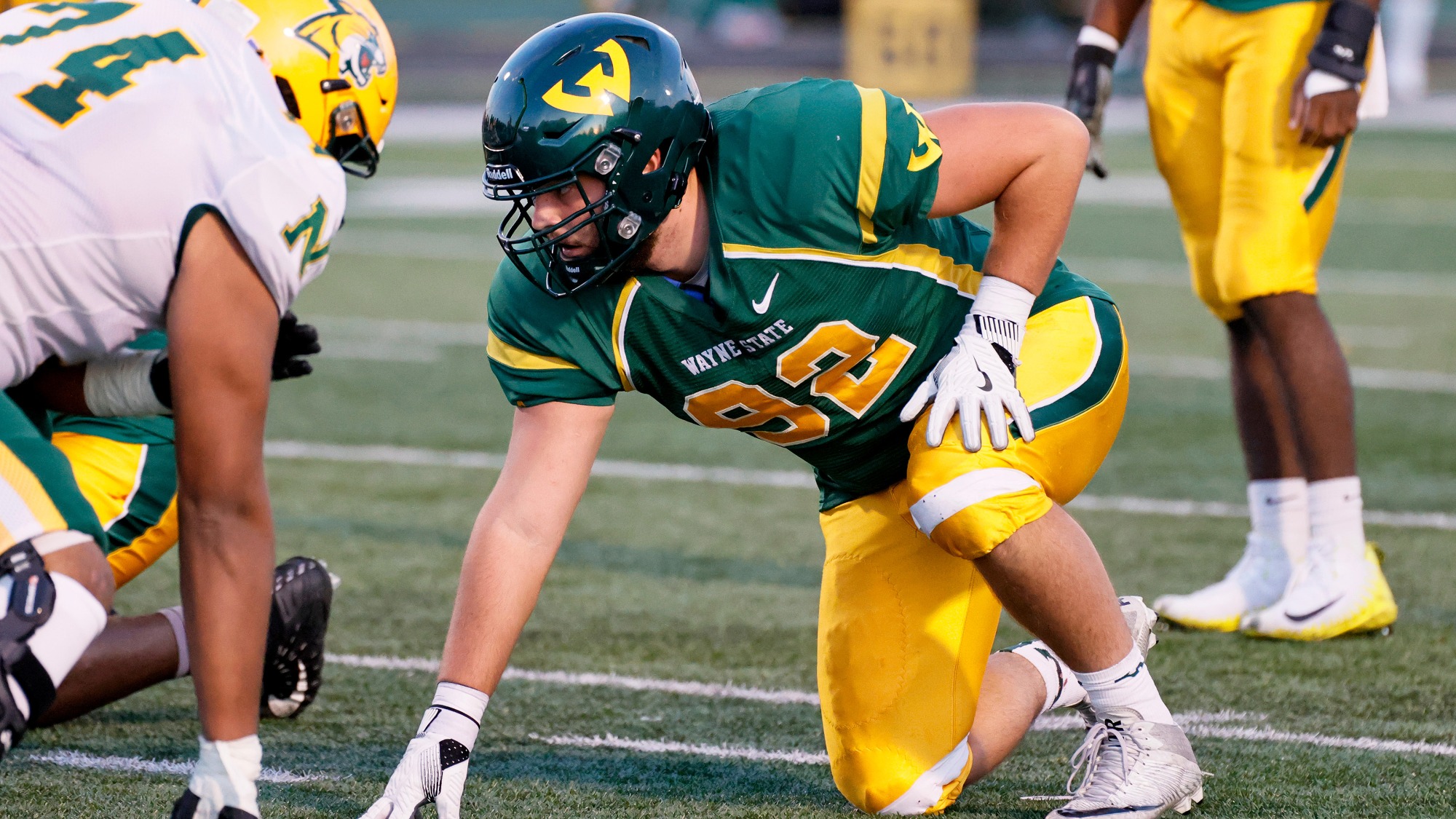 Gus Taylor - Football - Wayne State University Athletics