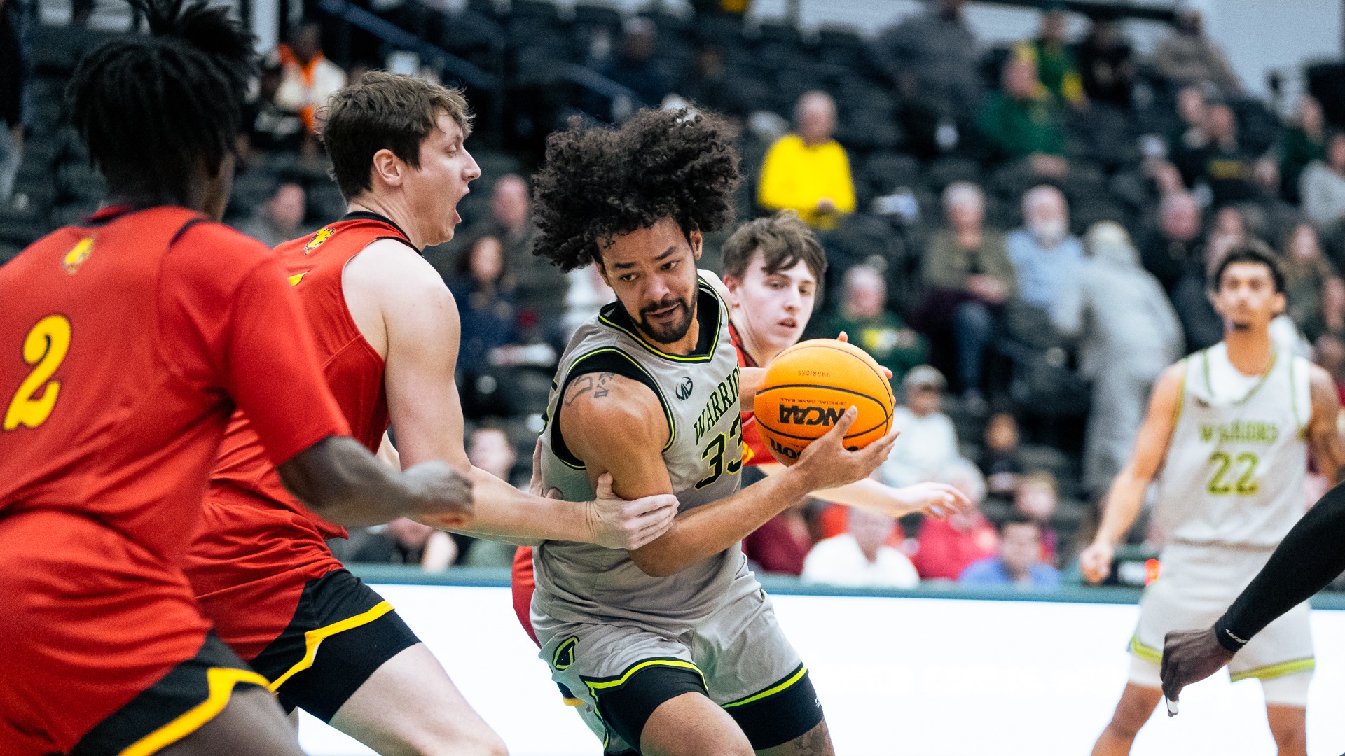 Avery Lewis - Men's Basketball - Wayne State University Athletics