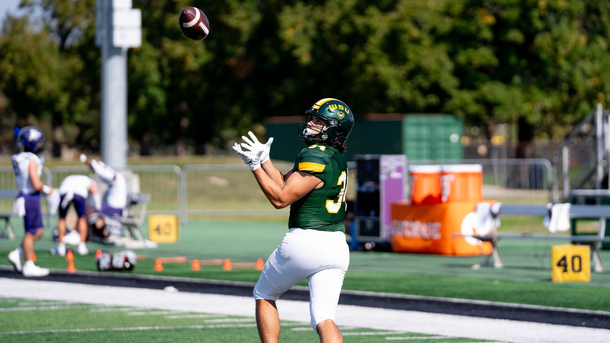 Gabe Mendoza - Football - Wayne State University Athletics