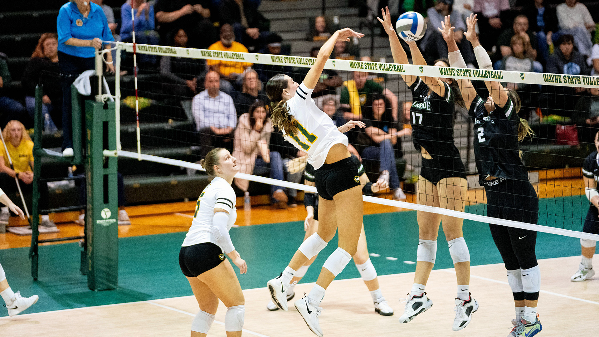 Volleyball Suffers Home Setback to Parkside - Wayne State University ...