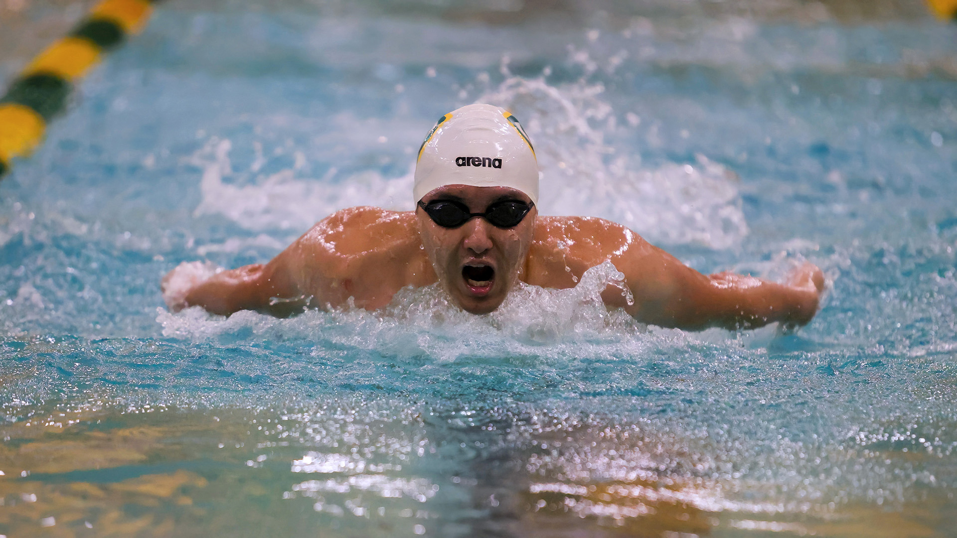 Collin Che - Men's Swimming & Diving - Wayne State University Athletics