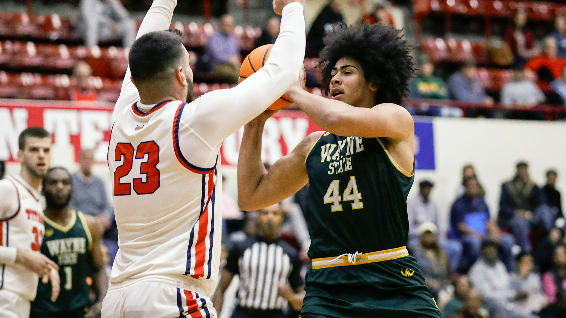 Matt Coffey - Men's Basketball - Wayne State University Athletics