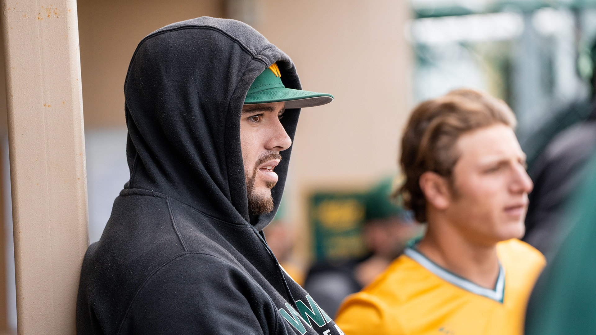 Matthew Ferris - Baseball - Wayne State University Athletics