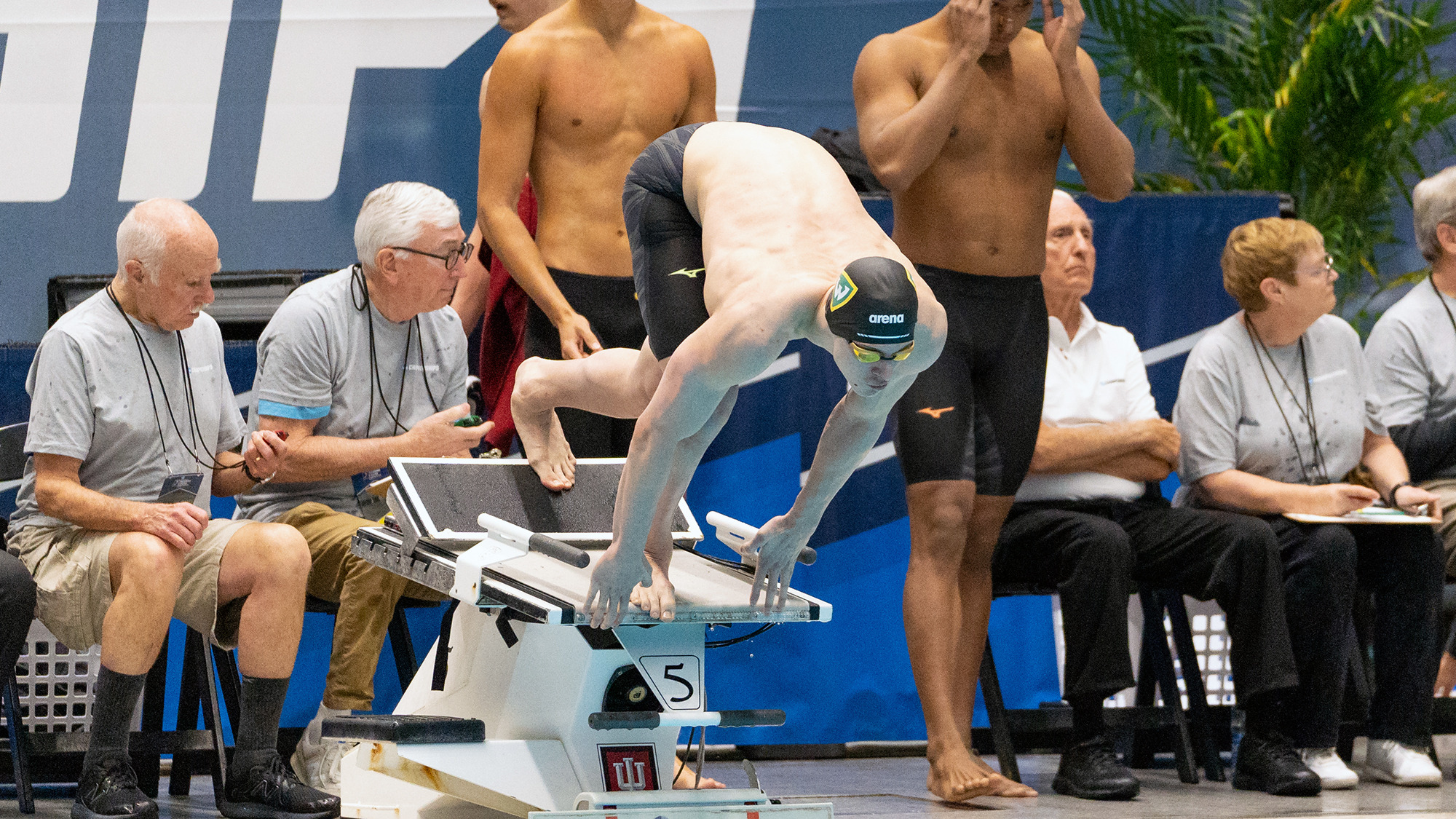 Luka Cvetko - Men's Swimming & Diving - Wayne State University Athletics