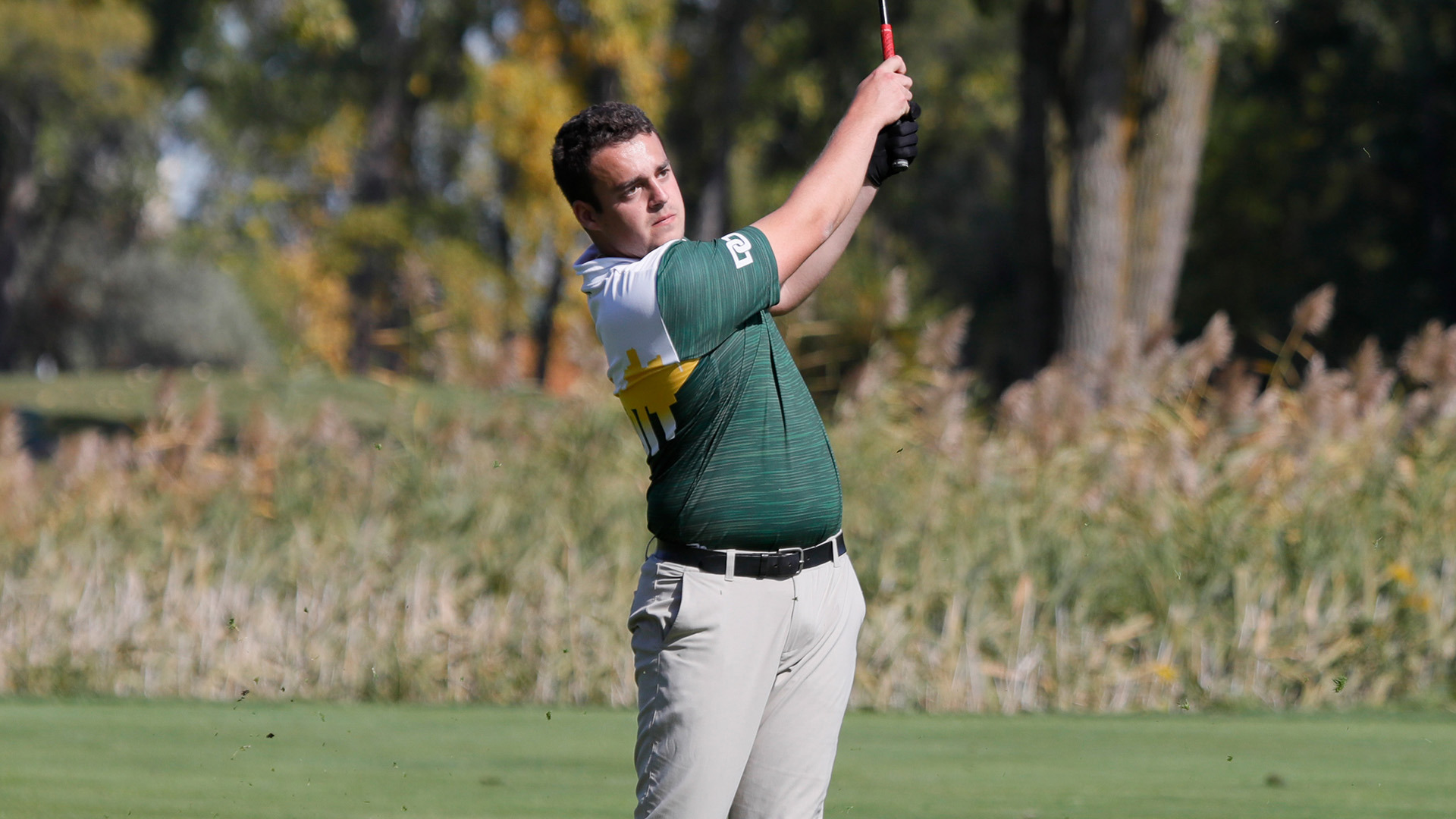 Alex Saroli - Men's Golf - Wayne State University Athletics