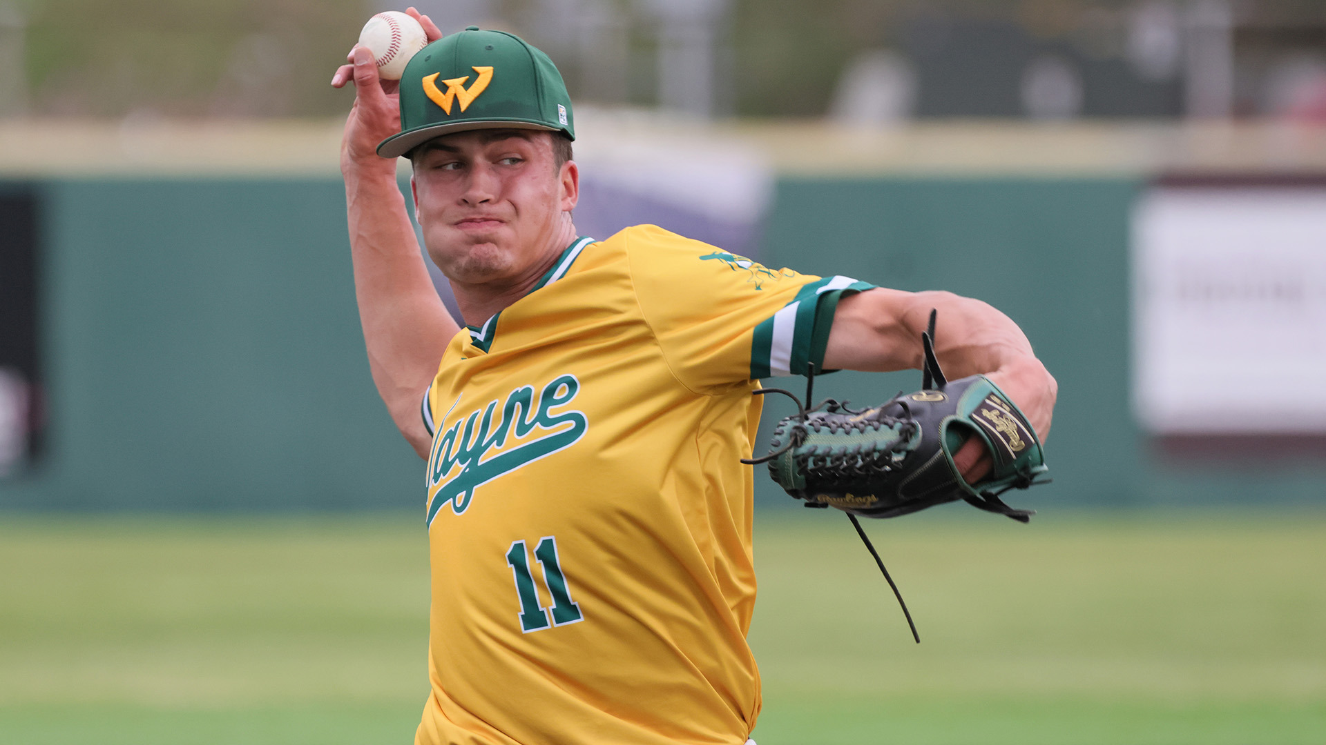 Ashton Potts - Baseball - Wayne State University Athletics