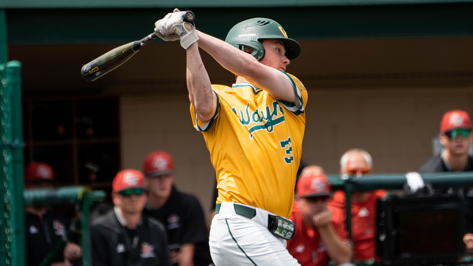 Ryan Foley - Baseball - Wayne State University Athletics
