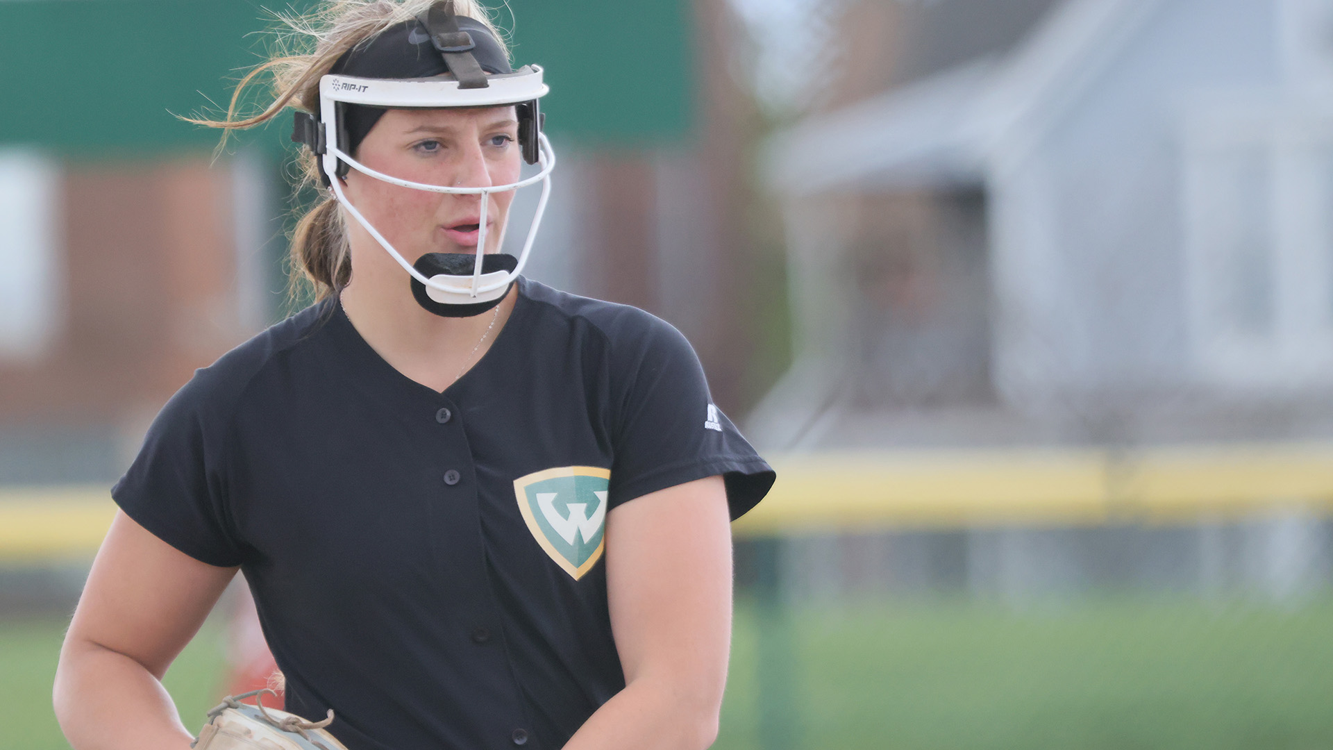 Softball Blanks Saint Michael's After Being Edged By IUP - Wayne State ...