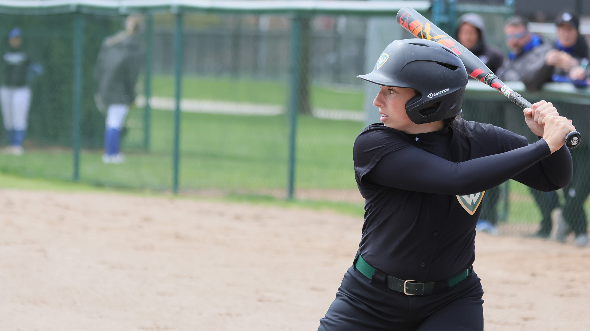 Softball Splits On Day Two Of Spring Break Trip - Wayne State ...
