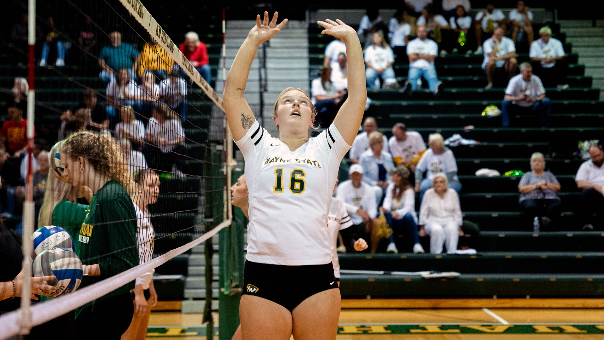 Meah Potter - Volleyball - Wayne State University Athletics