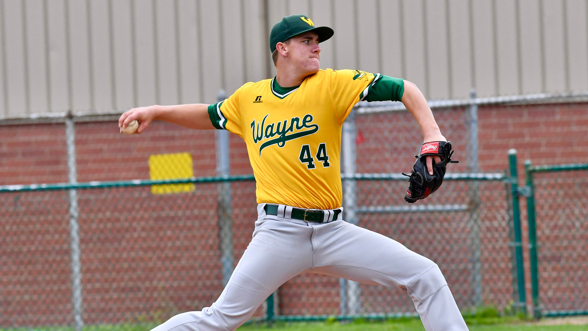 Baseball to Host Prospect Camp on Oct. 11th - Wayne State University ...