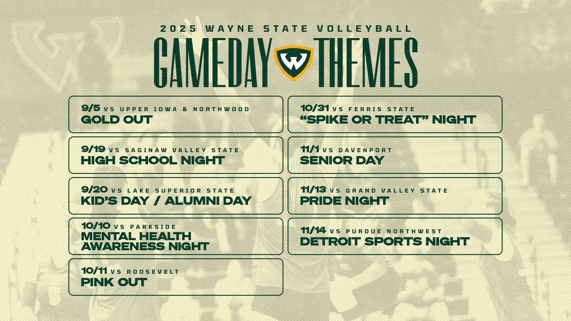 Volleyball Recognized with AVCA Team Academic Award For 10th Straight ...