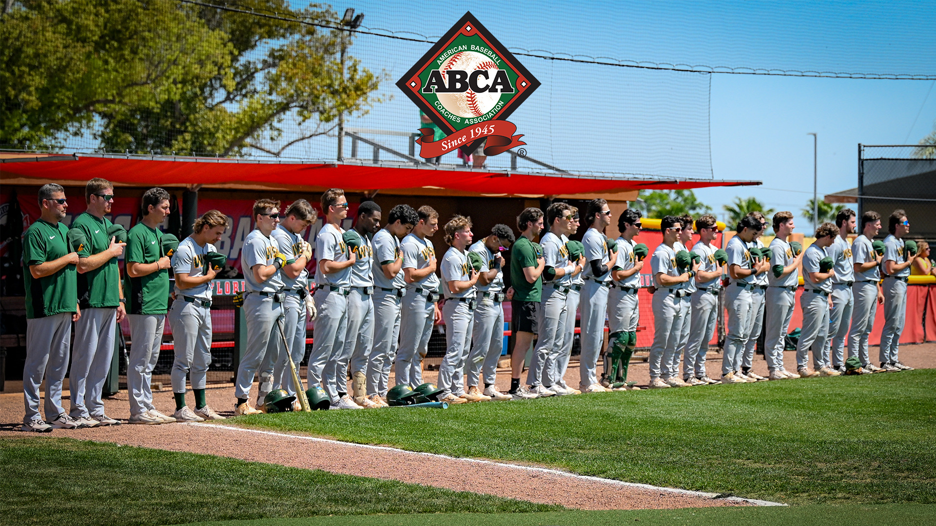 Books, bats, and big futures, Wayne State baseball leads on and off the ...