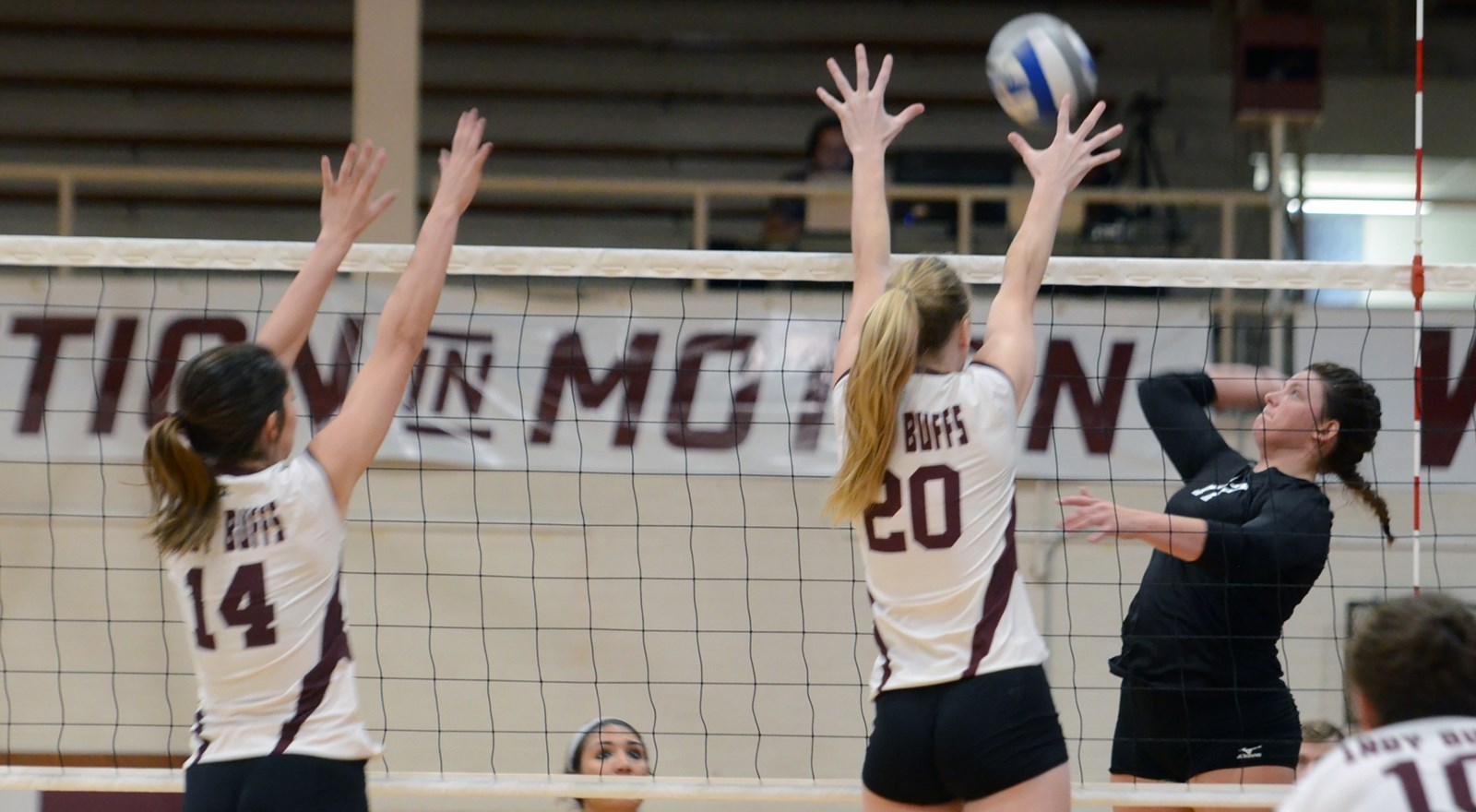 Cheyenne Lytle - 2017 - Volleyball - West Texas A&M University Athletics