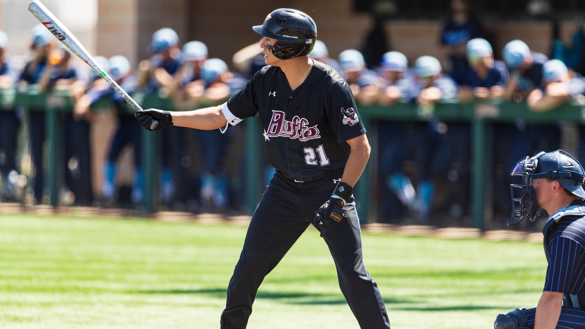 Mike Manetta - 2023 - Baseball - West Texas A&M University Athletics