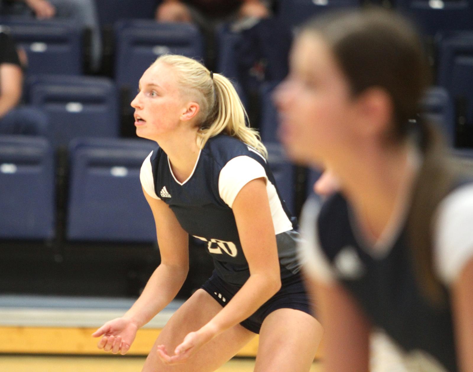 Jade Hodge - 2017 - Volleyball - Washburn University Athletics