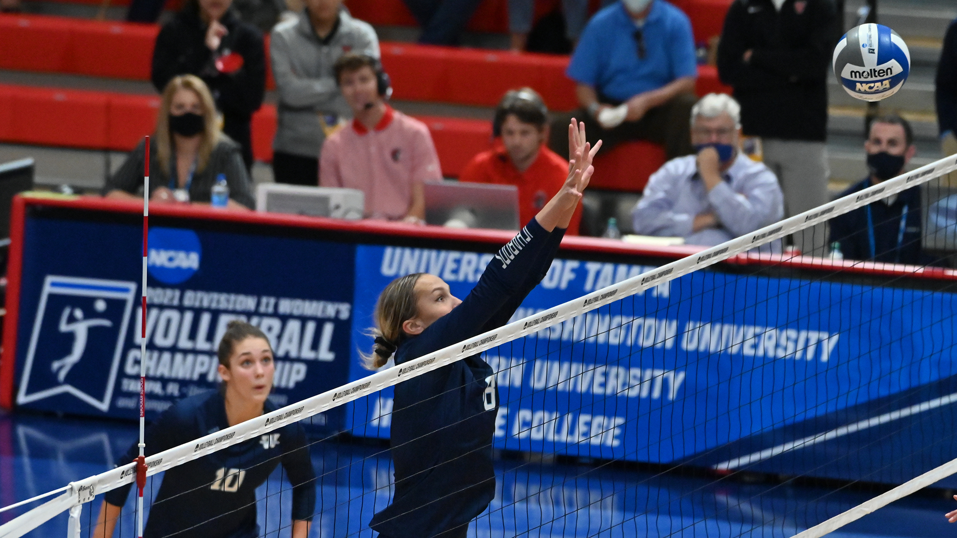 Allison Maxwell - 2021 - Volleyball - Washburn University Athletics