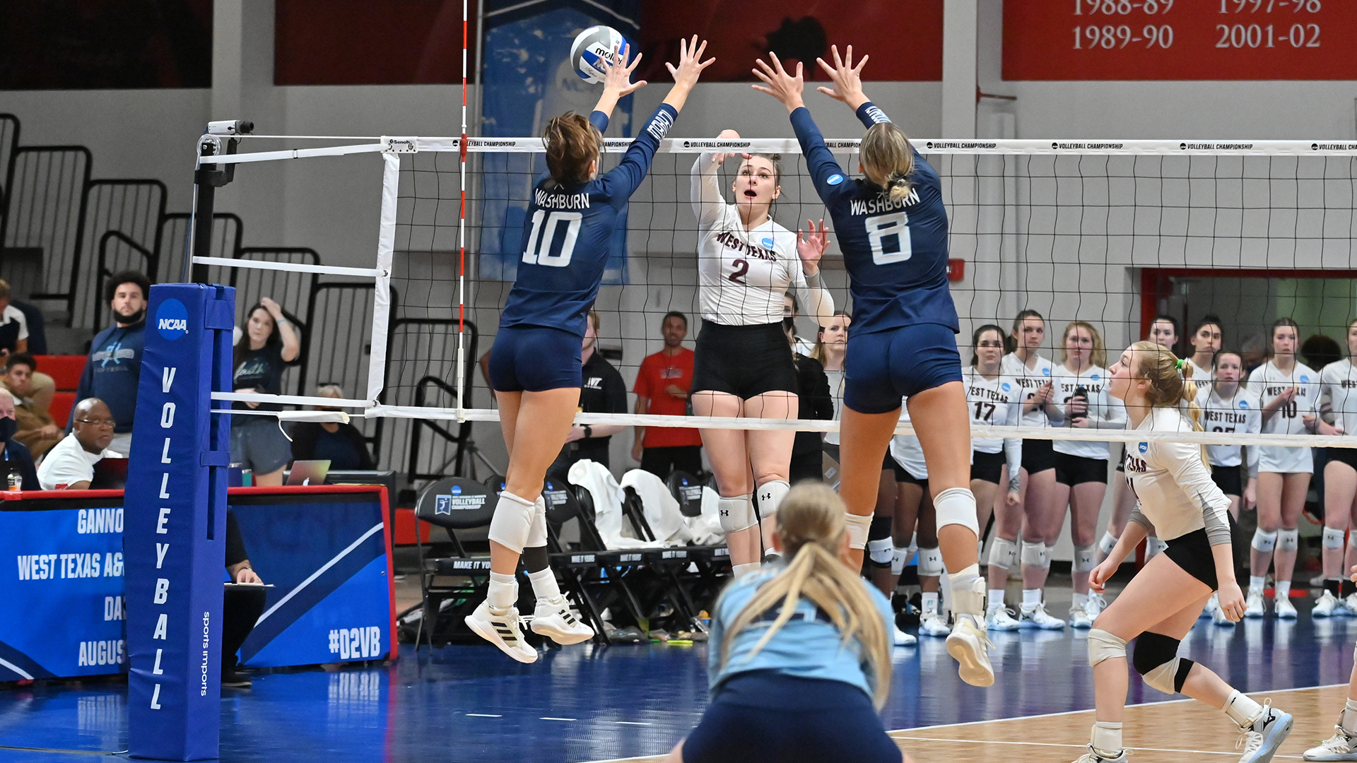 Allison Maxwell - 2021 - Volleyball - Washburn University Athletics