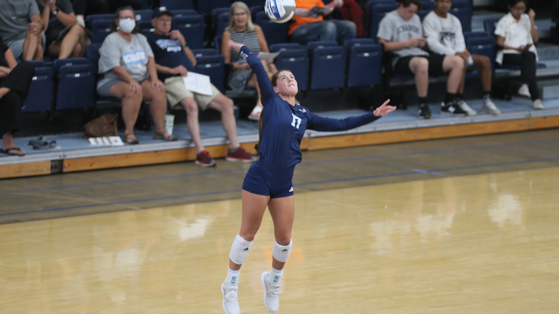 Maddie Steiner - 2024 - Volleyball - Washburn University Athletics