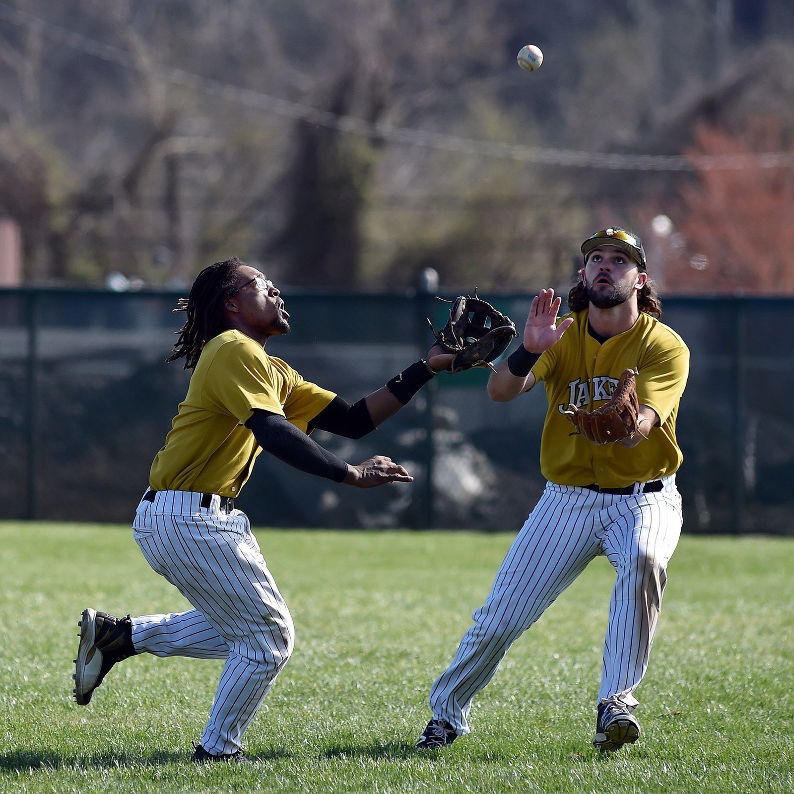 Trenton Porter - Baseball - West Virginia State University Athletics
