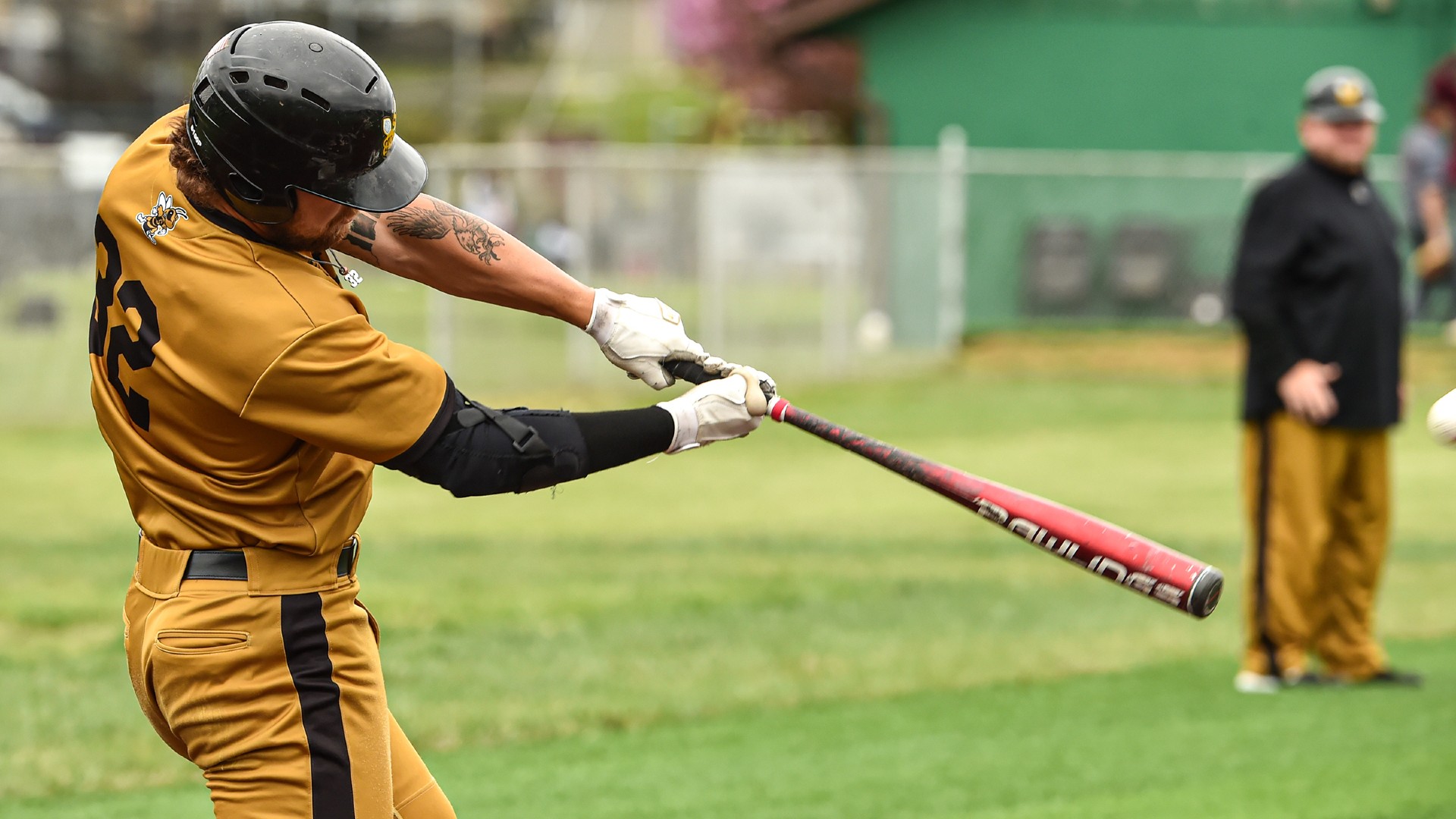 Matt Harrison - Baseball - West Virginia State University Athletics