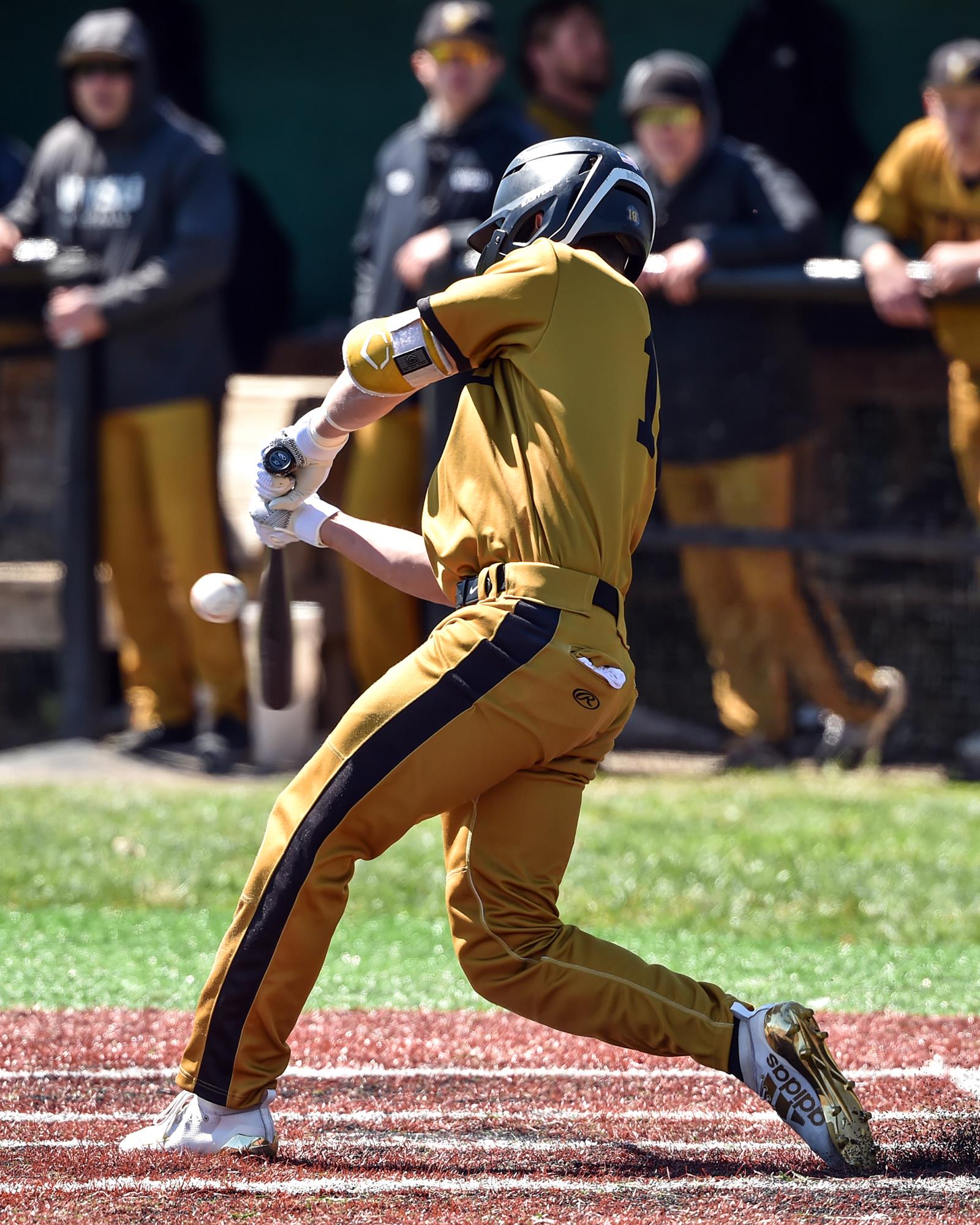Brett Christian - Baseball - West Virginia State University Athletics