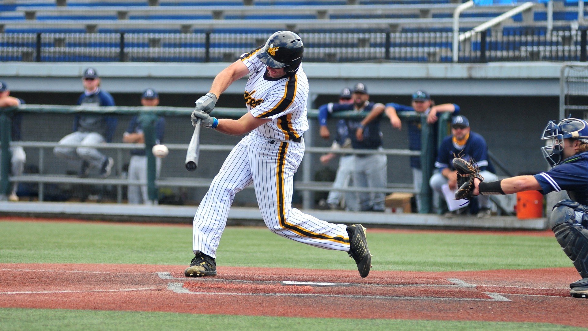 Trey Junkins - Baseball - West Virginia State University Athletics