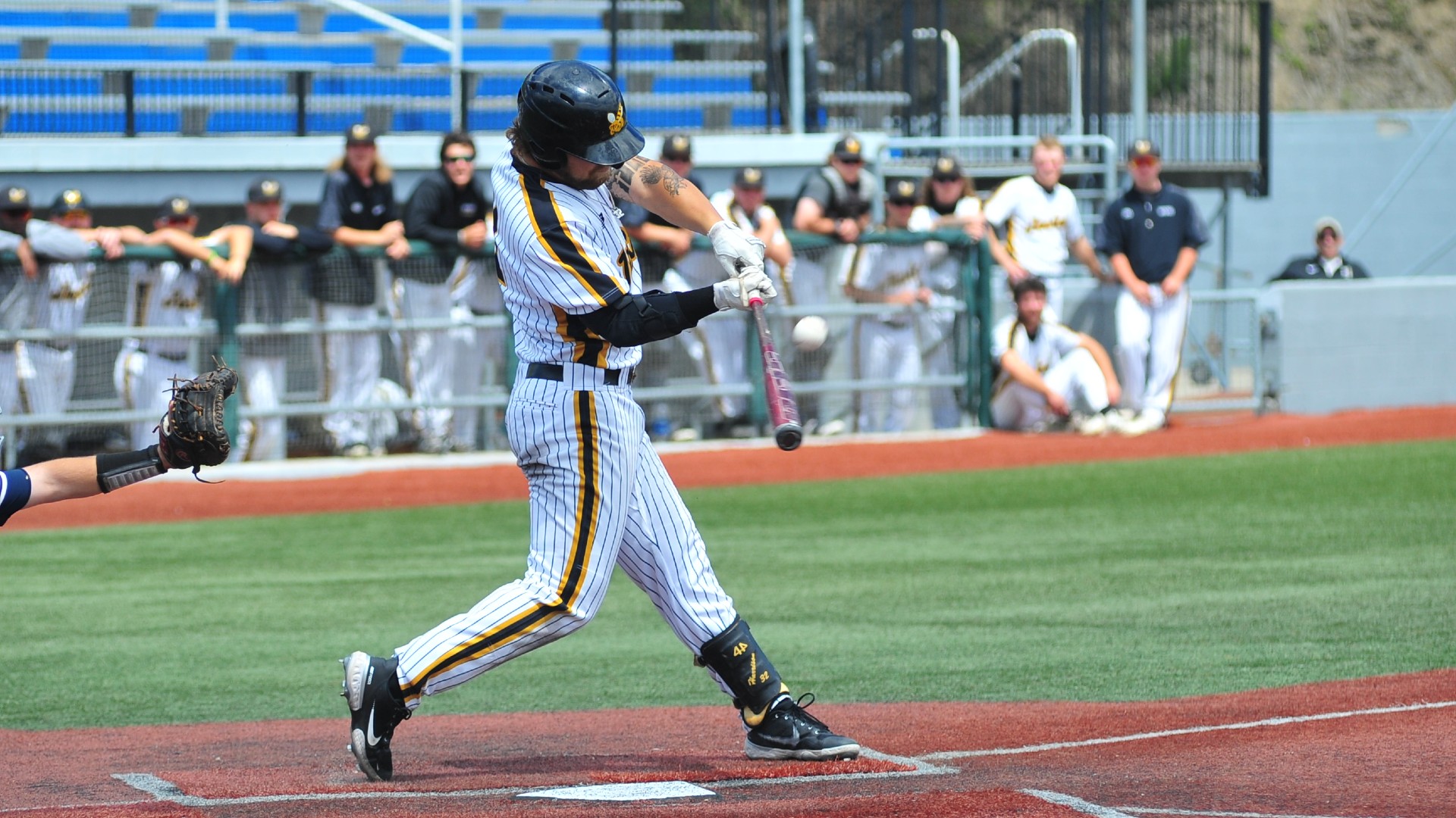 Matt Harrison - Baseball - West Virginia State University Athletics