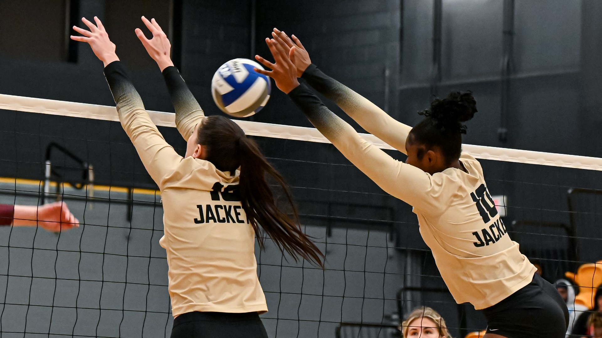 West Virginia State University Volleyball at Lloyd Sutton blog