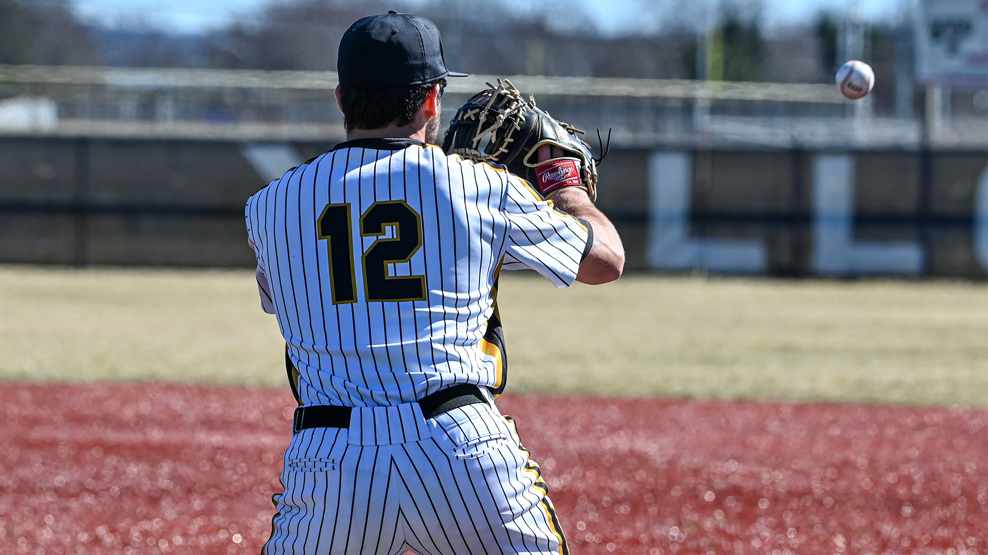 Michael Stone - Baseball - West Virginia State University Athletics
