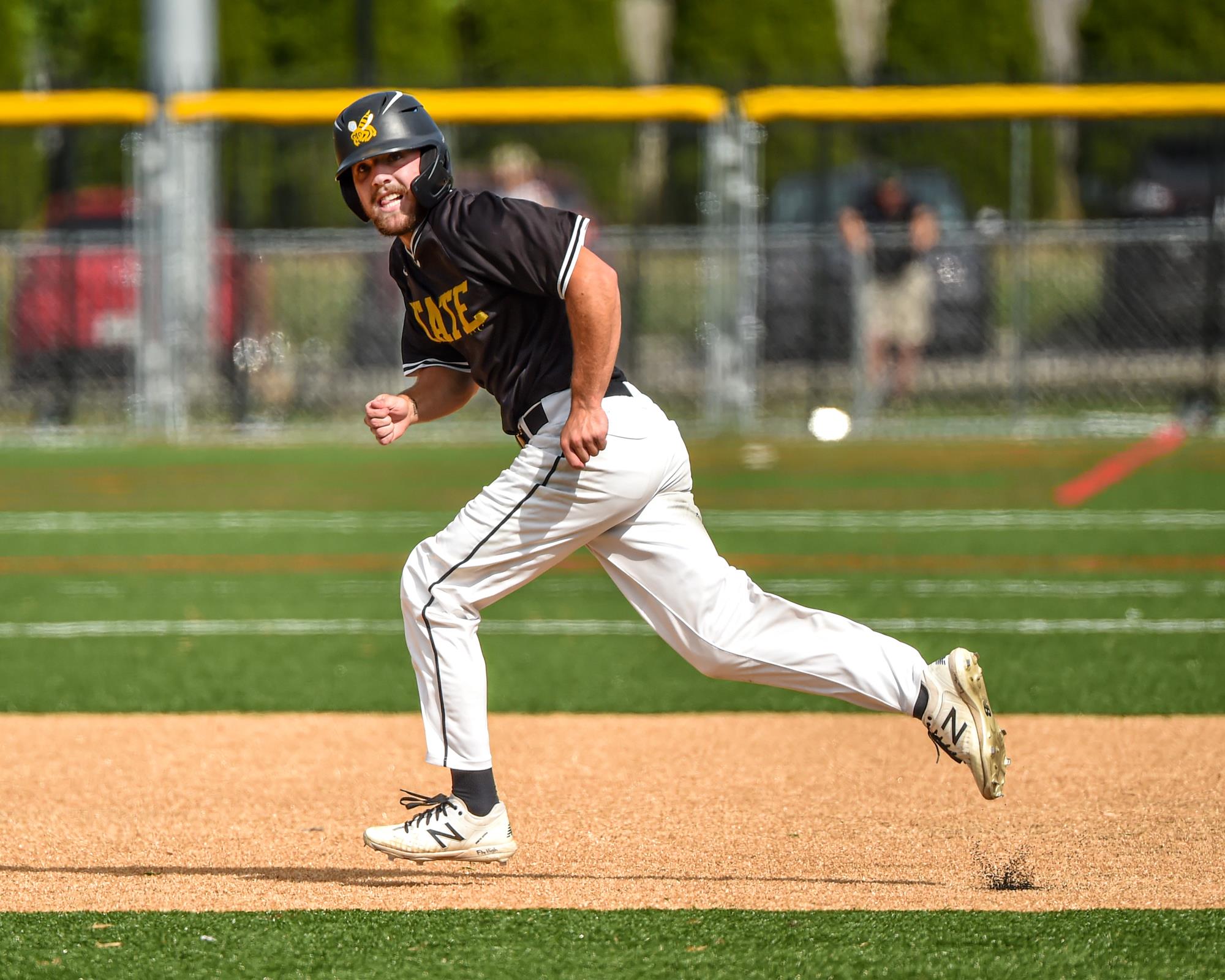 Michael Stone - Baseball - West Virginia State University Athletics