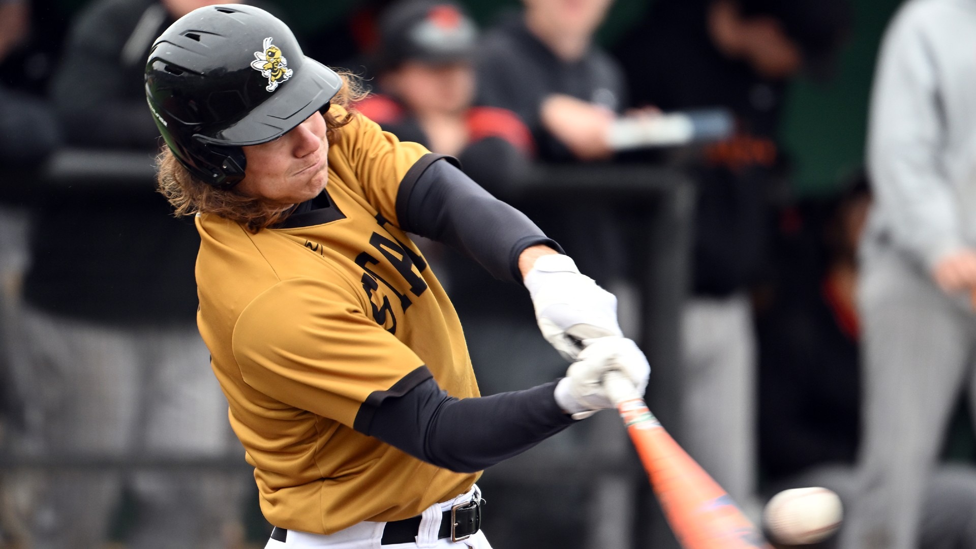 Ryan Kay - Baseball - West Virginia State University Athletics