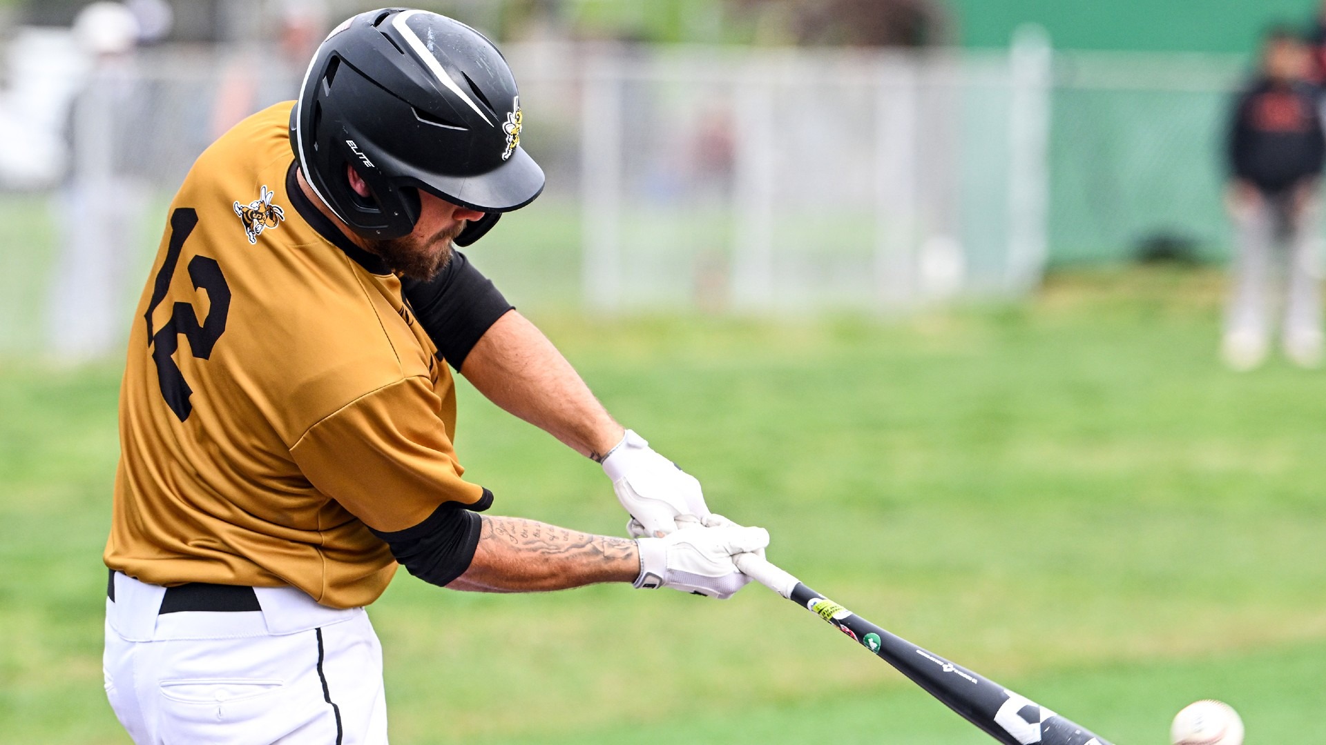 Michael Stone - Baseball - West Virginia State University Athletics