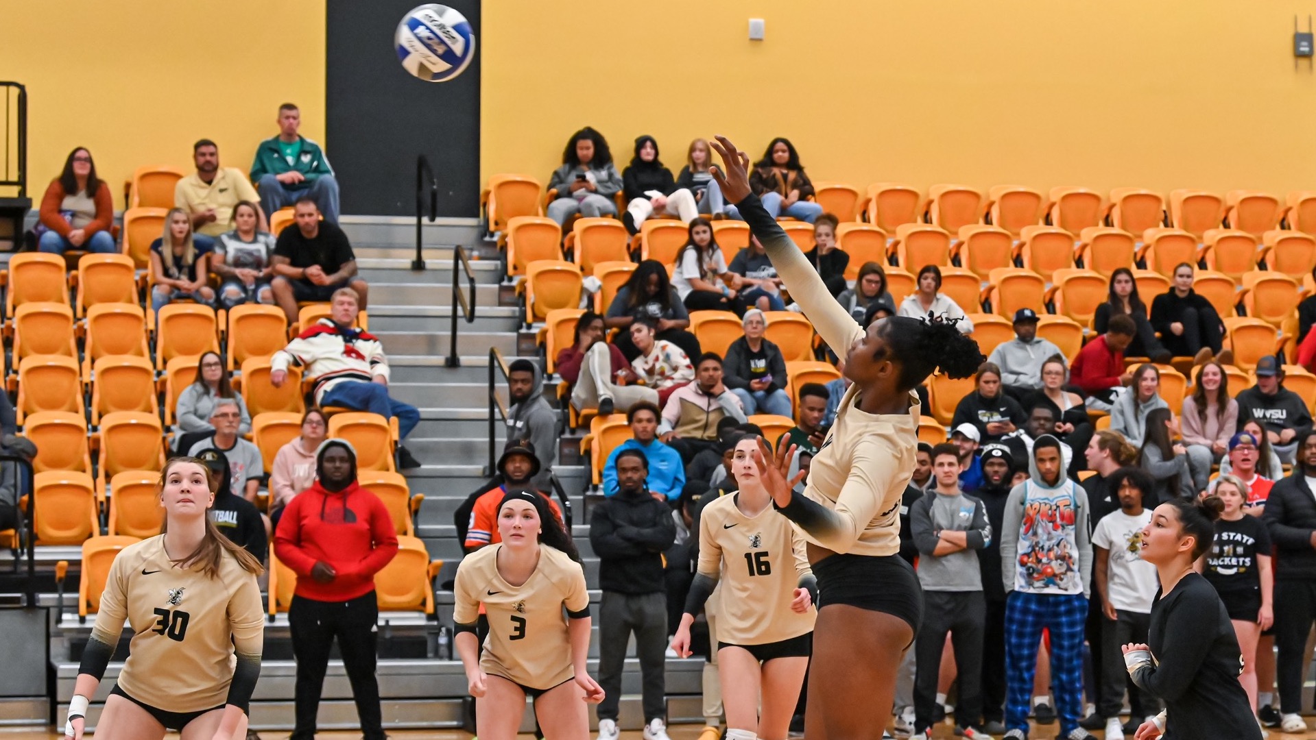 Natalie Beer - Women's Volleyball - West Virginia State University ...