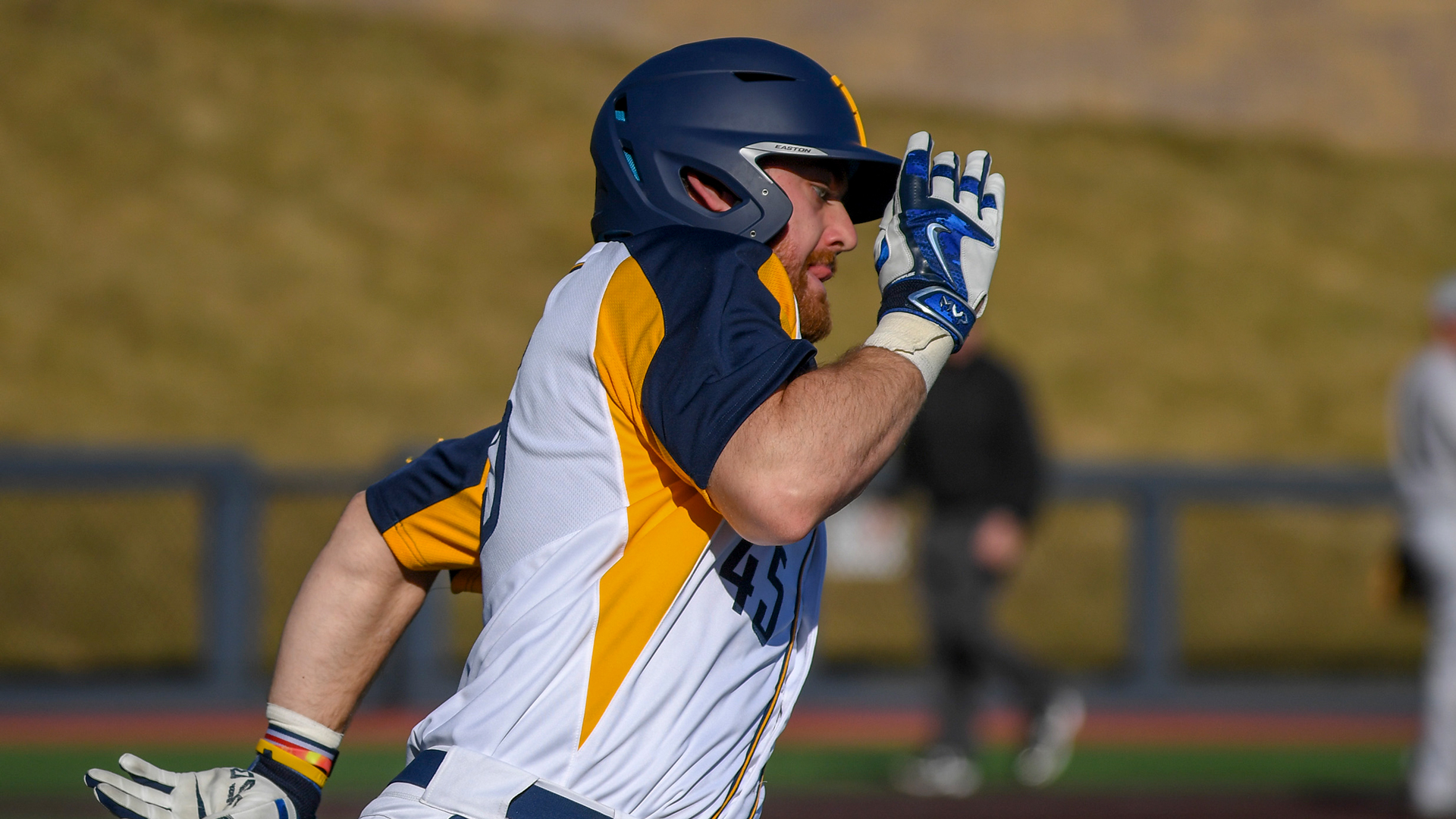 Andrew Zitel - Baseball - West Virginia University Athletics