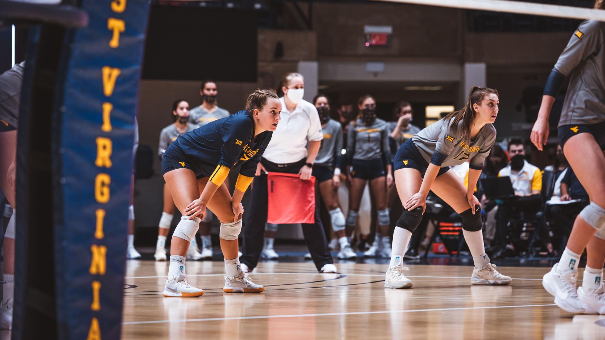 Alexa Hasting - Volleyball - West Virginia University Athletics