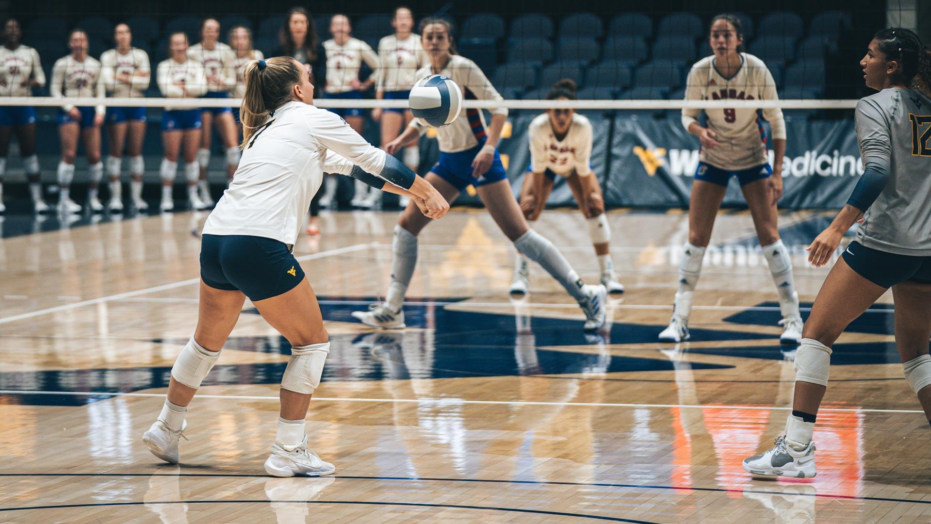 Alexa Hasting - Volleyball - West Virginia University Athletics