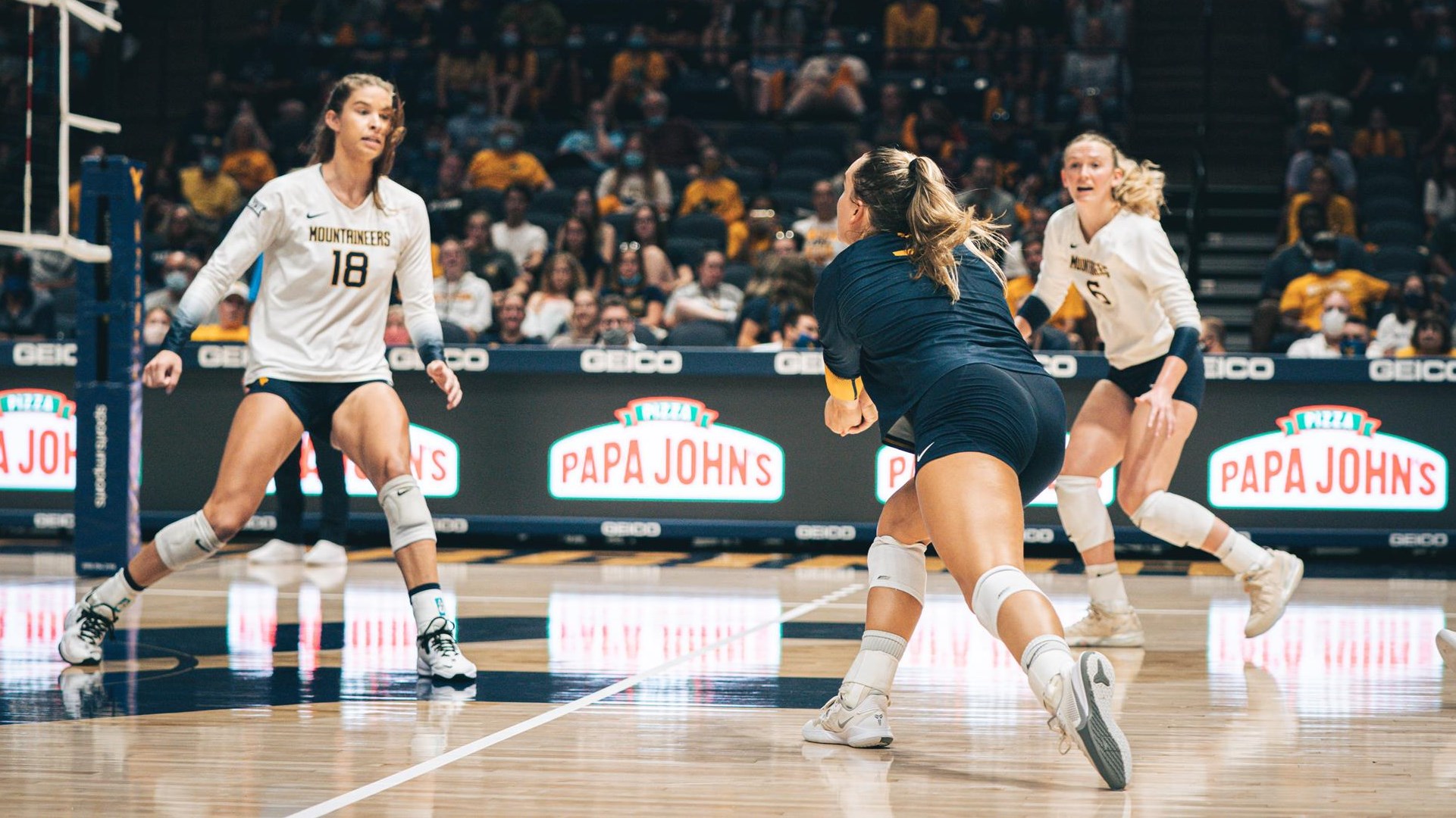Alexa Hasting - Volleyball - West Virginia University Athletics