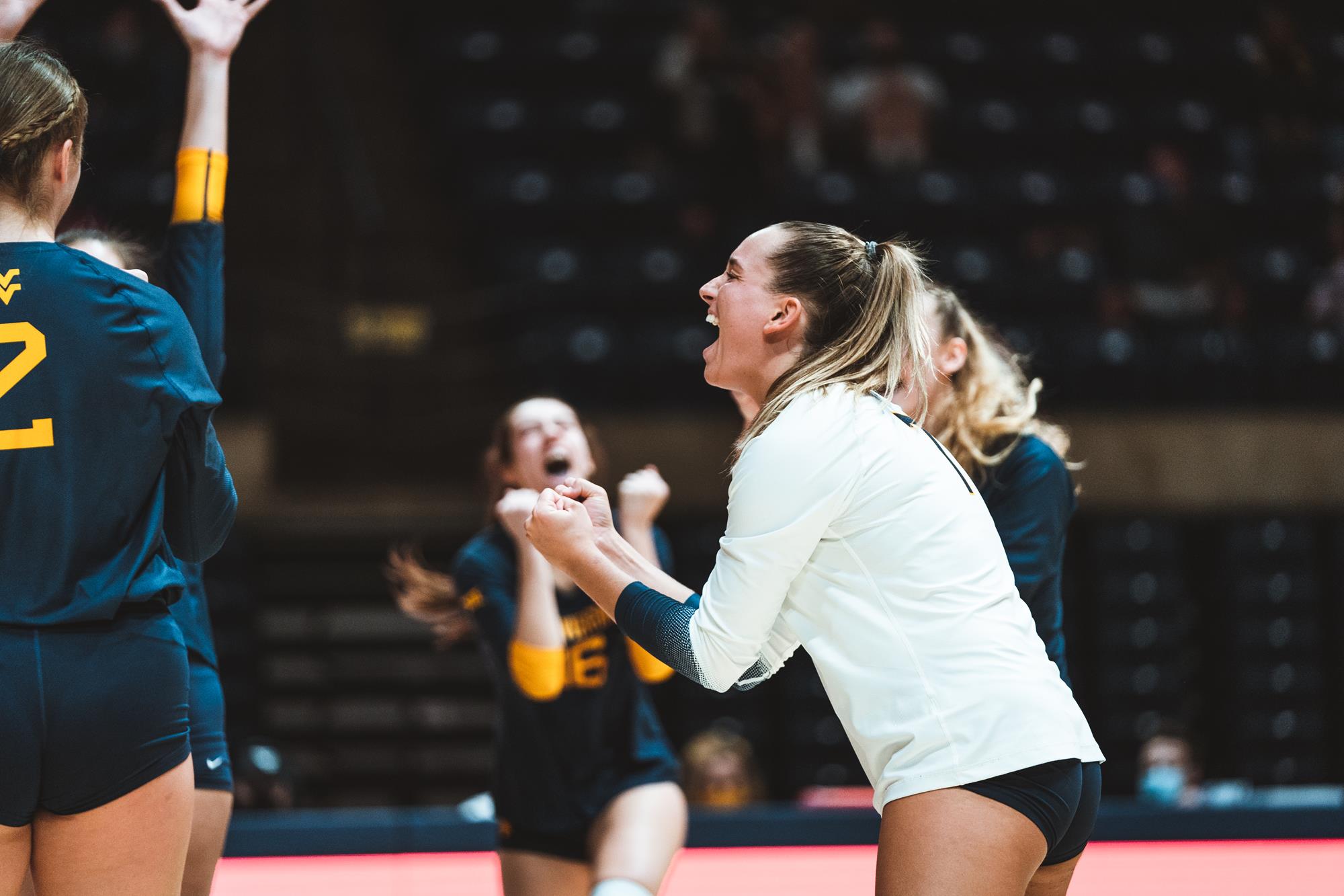 Alexa Hasting - Volleyball - West Virginia University Athletics