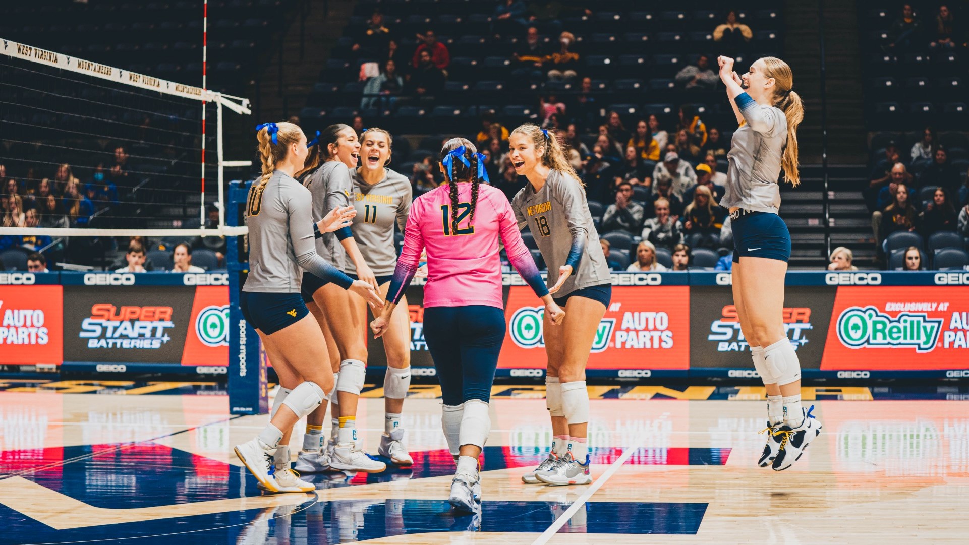 Melanie McGann - Volleyball - West Virginia University Athletics