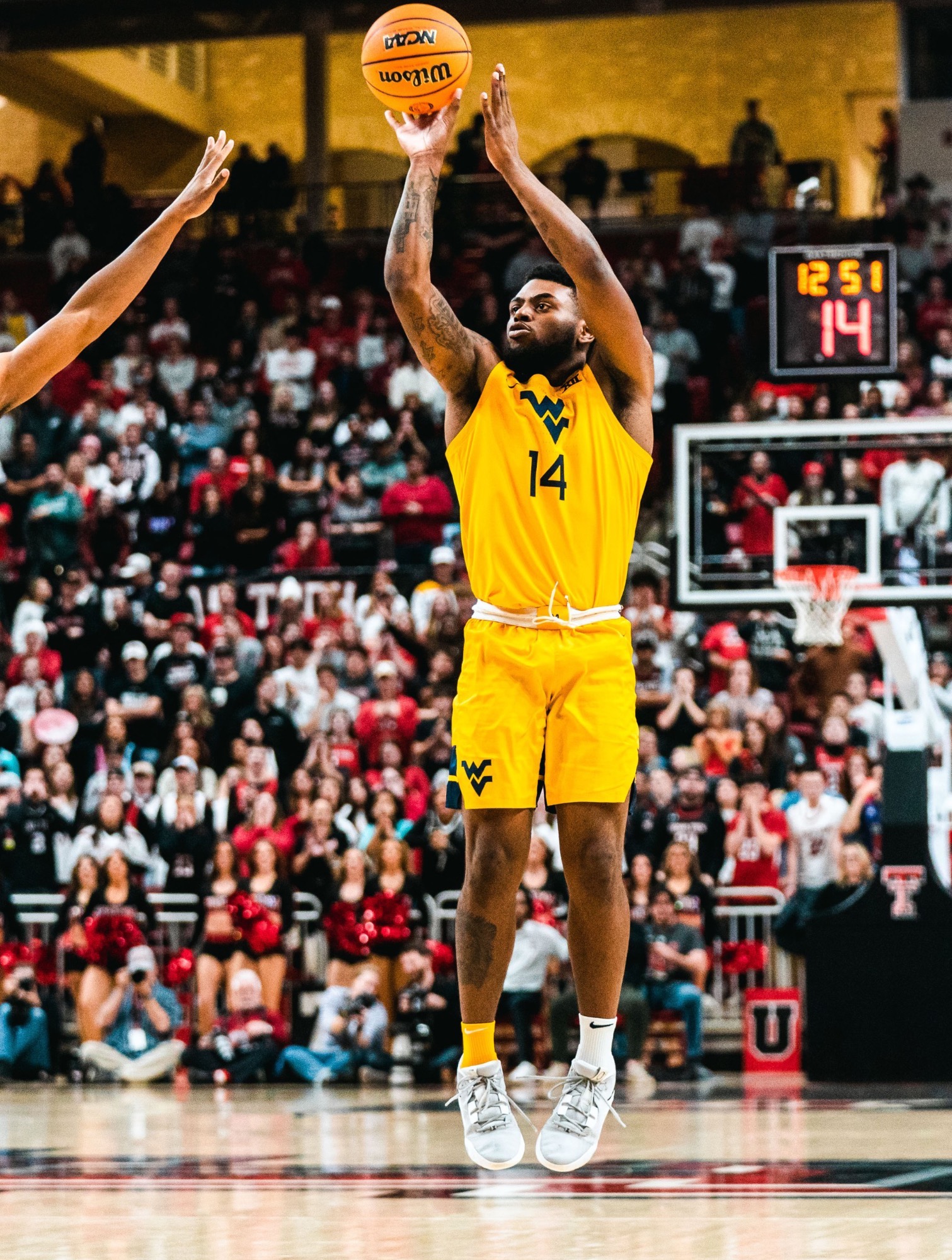 Seth Wilson - Men's Basketball - West Virginia University Athletics