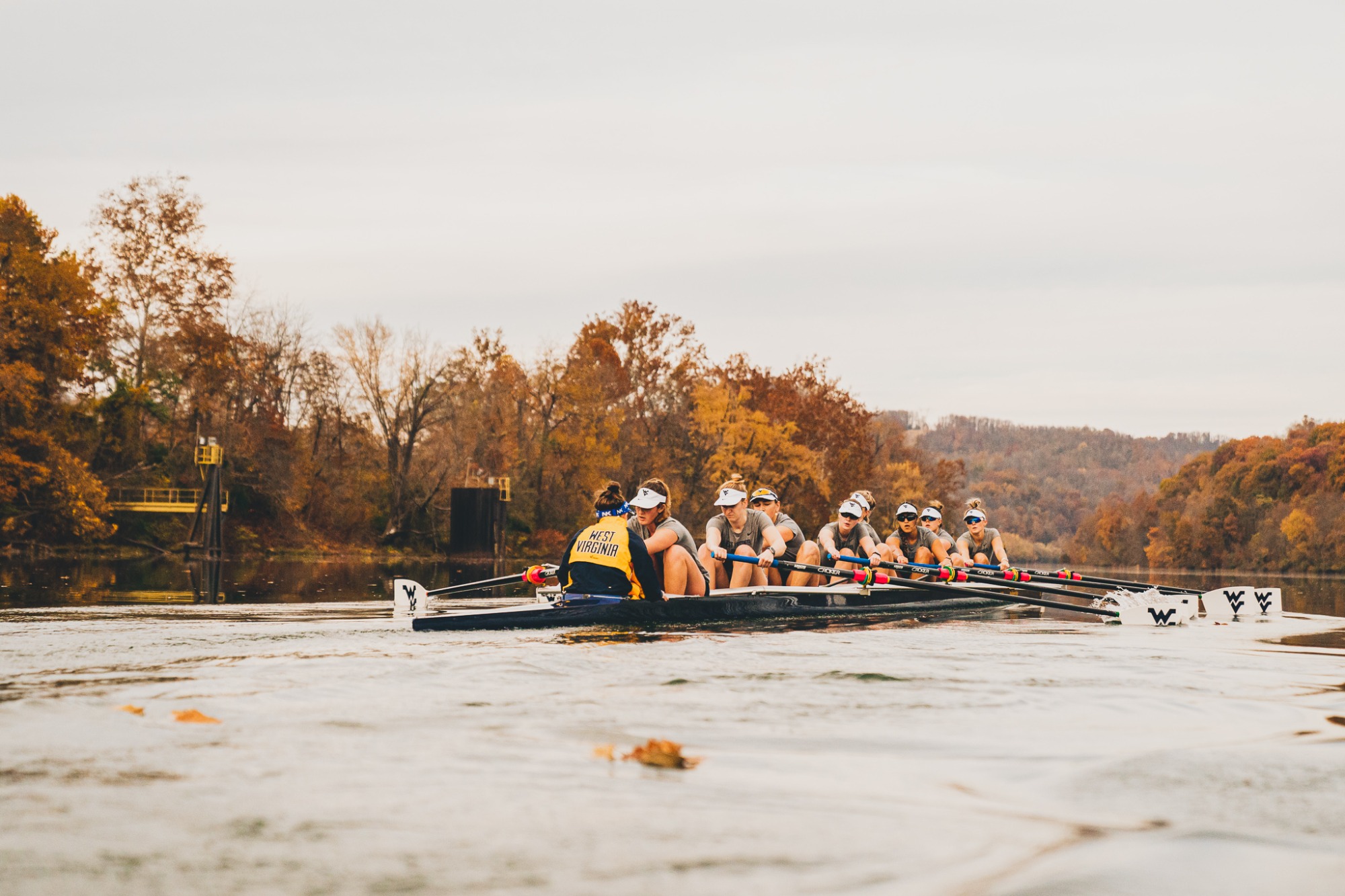 Abigail Yingling - Rowing - West Virginia University Athletics