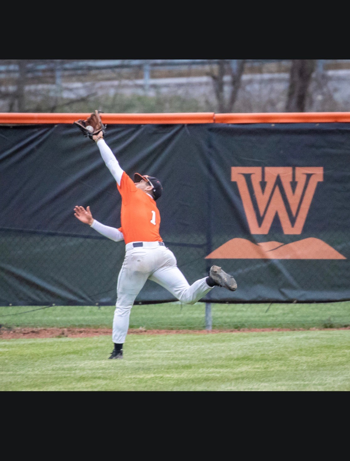 Eric Forbrick - Baseball - West Virginia Wesleyan College Athletics