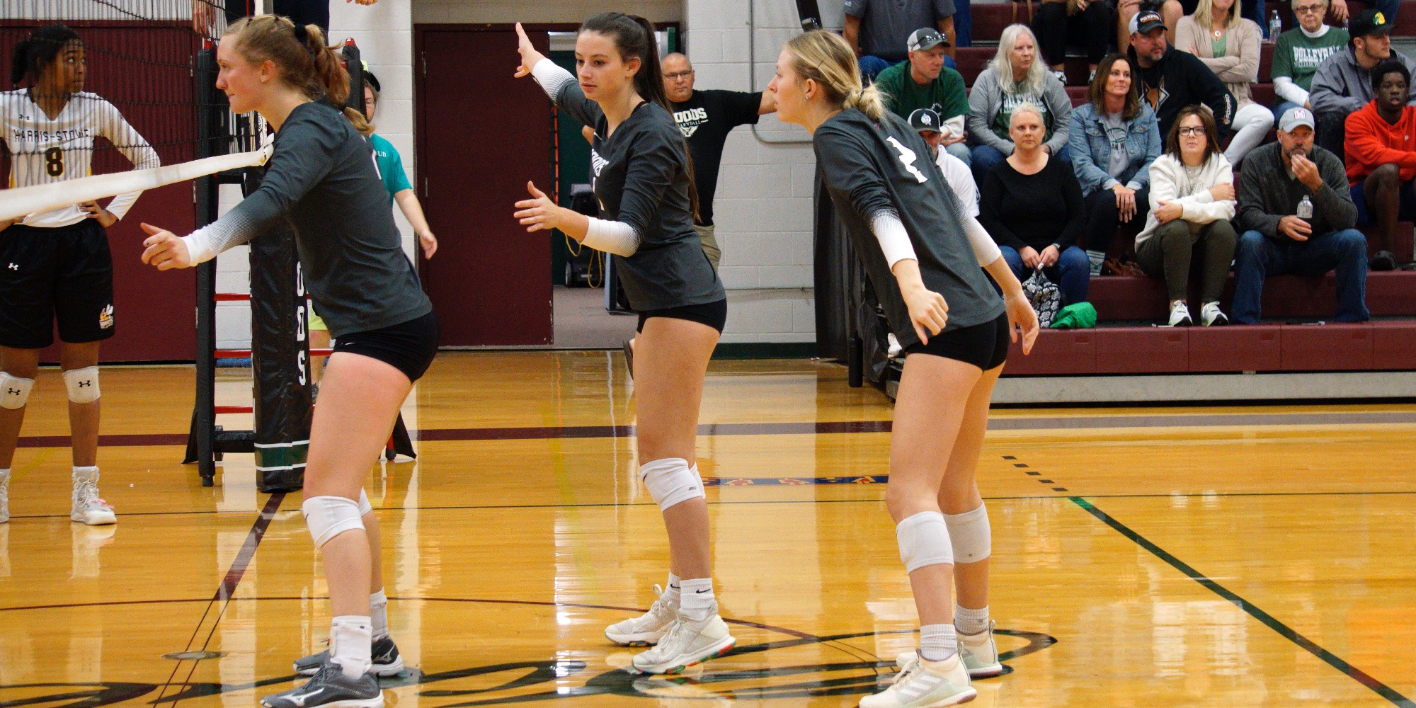 Emma Austin - Women's Volleyball - William Woods University Athletics