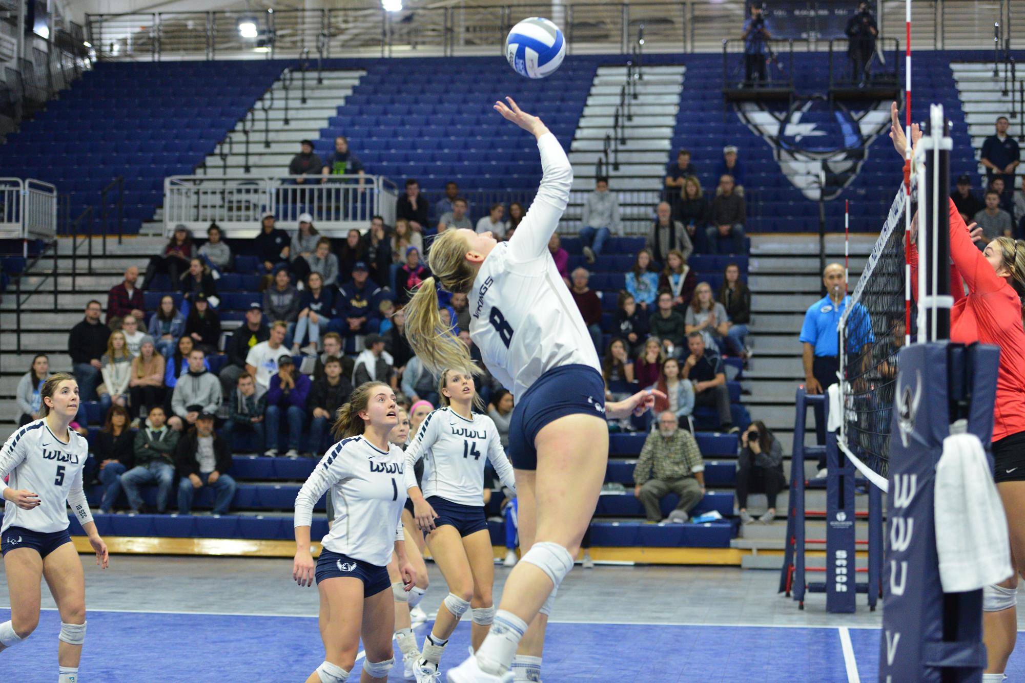 Michaela Hall - Volleyball - Western Washington University Athletics