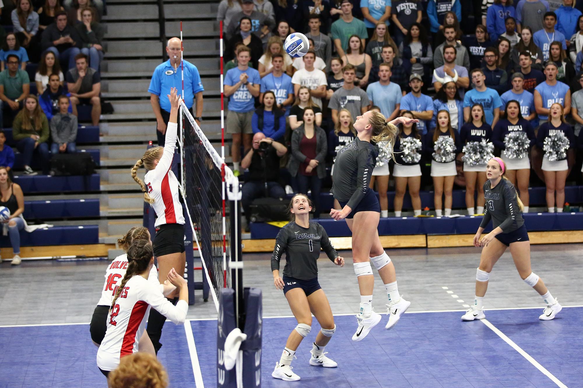 Michaela Hall - Volleyball - Western Washington University Athletics